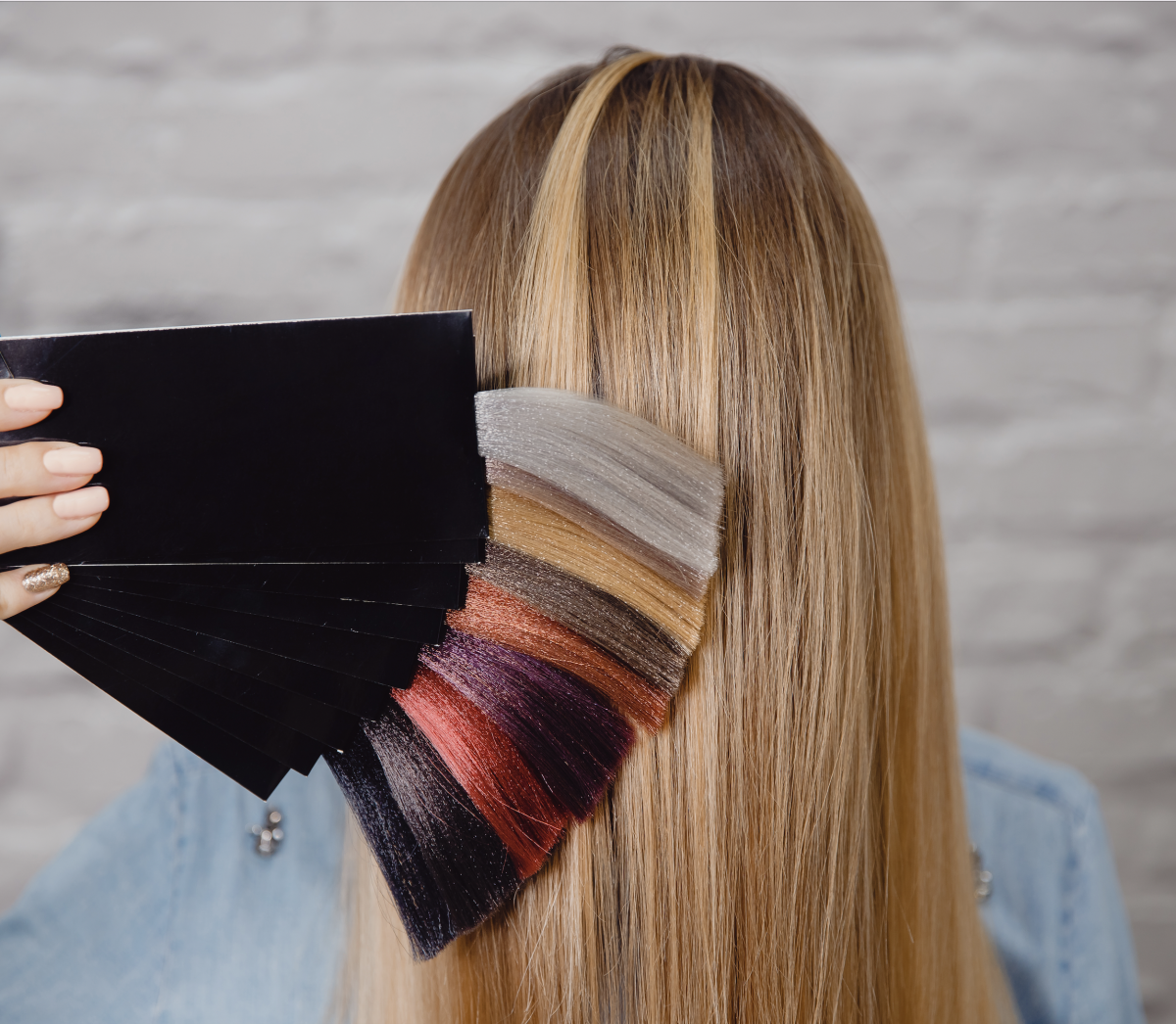 Delightful Colour - Shear Delight